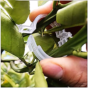 120 Pack Tomato Clips for String Plant Clips for Climbing Plants Supports Clips Garden Supplies Tomato Ties Plastic Tomato Plant Support Vegetables to Grow Upright Healthier