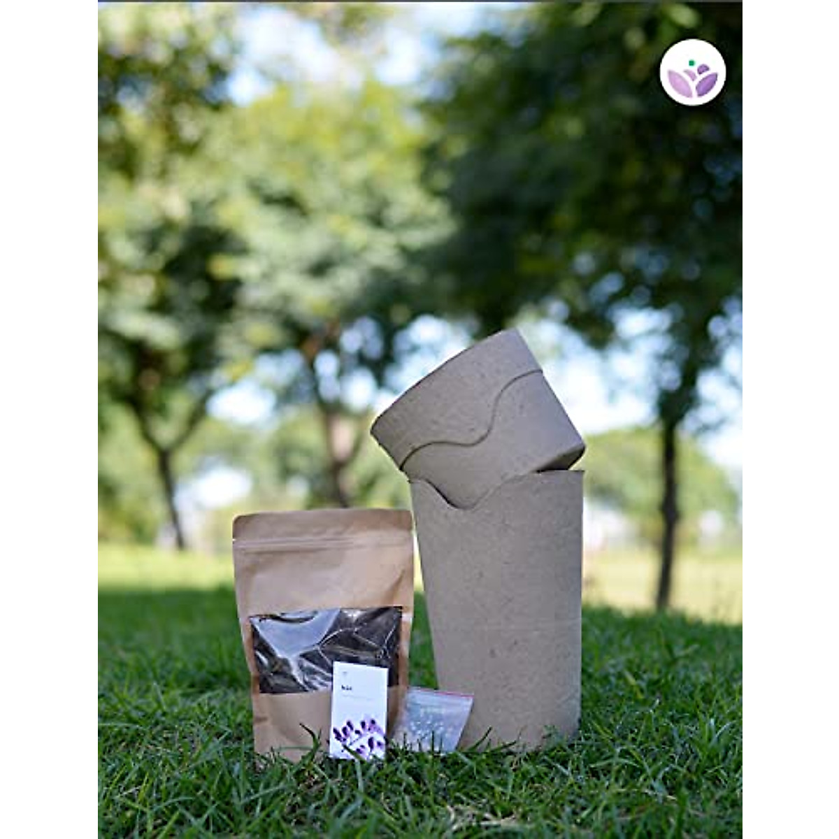 KIRI Biodegradable Tree Urn for Cremated Ashes - Eco Burial Urn. Grow a Living Memory Tree from The Ashes. Tree Seed (Apple Tree)