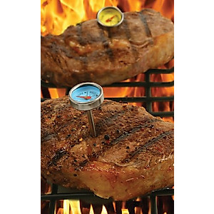 Norpro Mini Steak Thermometers, Set of 4, Silver