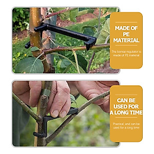 Angoily 10pcs Branch Press Fruit Branch or Bonsai