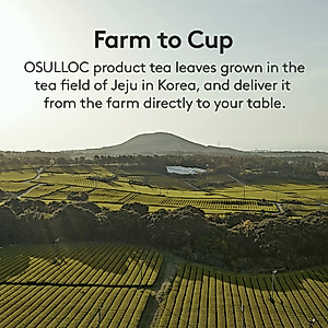 Osulloc Wedding Green Tea (Floral & Sweet Muscat Scent) | Korean Premium Blended Tea Bag | Sweet Fruit Tea | 20 Count Tea Bags, 1.06oz