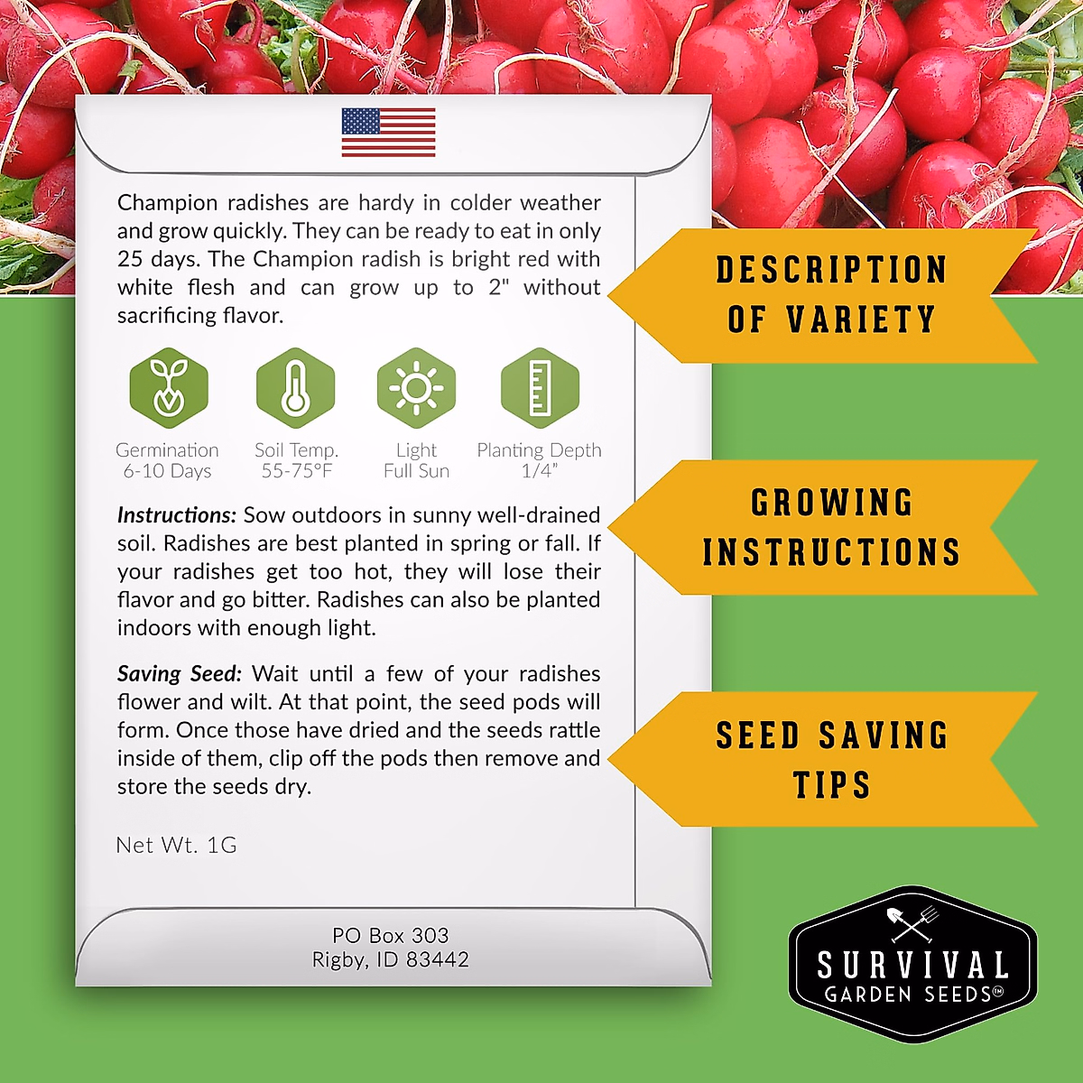 Survival Garden Seeds - Champion Radish Seed for Planting - Packet with Instructions to Plant and Grow Red Radishes in Your Home Vegetable Garden - Non-GMO Heirloom Variety