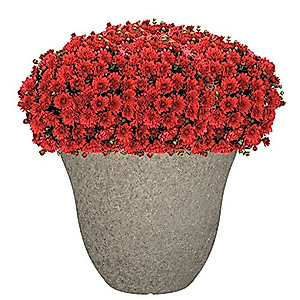 Classic Home and Garden Honeysuckle Resin Flower Pot Planter, Stone Grey, 15"