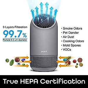 Breathe XL Smart Air Purifier, Grey