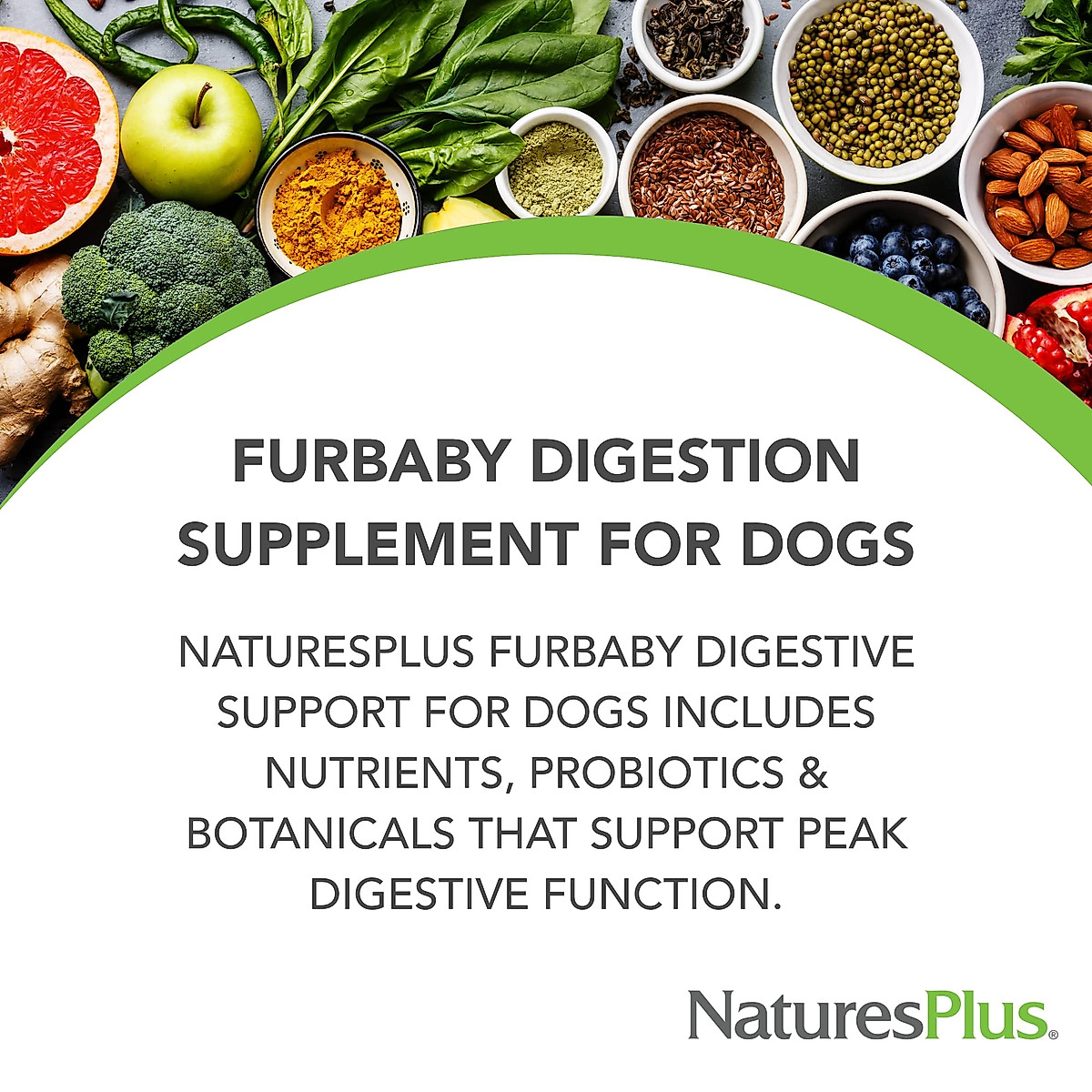 Natures Plus FurBaby Digestive Support for Dogs - 7.4 oz - Promotes Optimal Digestion - Non-GMO - 60 Servings