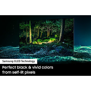 SAMSUNG 55-Inch Class OLED 4K S95B Series Quantum HDR, Dolby Atmos, Object Tracking Sound, Laser Slim Design, Smart TV with Alexa Built-In (QN55S95BAFXZA, 2022 Model)