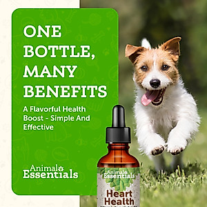 Animal Essentials Heart Health for Dogs & Cats - Cardiovascular Support Supplement, Healthy Heart, Organic Hawthorn Berry, Herbal Tincture - 1 Fl Oz