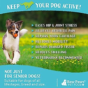 Raw Paws Hip and Joint Treats for Dogs, 10-oz/100-ct - Made in USA - Soft, Chewable Dog Arthritis Supplement - Dog Glucosamine Chews Increases Mobility, Reduces Pain, Inflammation & Hip Dysplasia