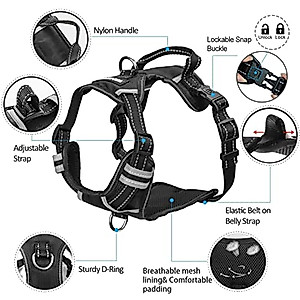 WINSEE Dog Harness No Pull, Pet Harnesses with Dog Collar, Adjustable Reflective Oxford Outdoor Vest, Front/Back Leash Clips for Small, Medium, Large, Extra Large Dogs, Easy Control Handle for Walking