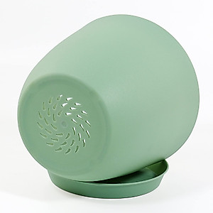 SwinDuck 6 Inch Plant Pots, 12 Pack Plastic Planters Modern Flower Pot with Drainage Holes and Saucers for All House Plants, Herbs, Flowers and Seeding Nursery, Colorful