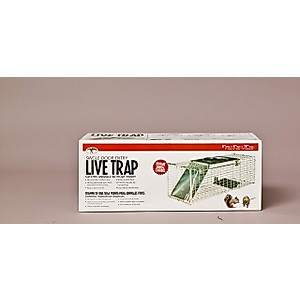Little Giant® Single Door Live Trap | Racoon Trap | Live Animal Trap | Catches Without Injury | Galvanized Steel Mesh | 18.75 x 6.75 x 6.5 in