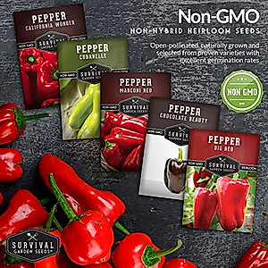Survival Garden Seeds Sweet Pepper Collection Seed Vault - Non-GMO Heirloom Seeds for Planting - California Wonder Bell, Marconi Red, Cubanelle, Chocolate Beauty, and Big Red Peppers