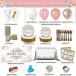Baby Shower Decorations for Girl，242 PCS of Floral Girl Baby Shower Decorations Party Supplies with Background,Disposable Tableware（25 guests),"It's A Girl" Banner, Balloons Wreath and Tablecloth