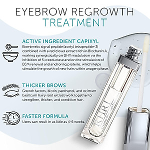 Eyebrows Growth Serum I Eyebrows Regrowth Treatment I Brow Enhancing Serum with 5% Capixyl, Biotin, Peptides, Eclipta Alba and Hyaluronic Acid I Eyebrows Growth Length Thickness Darkness