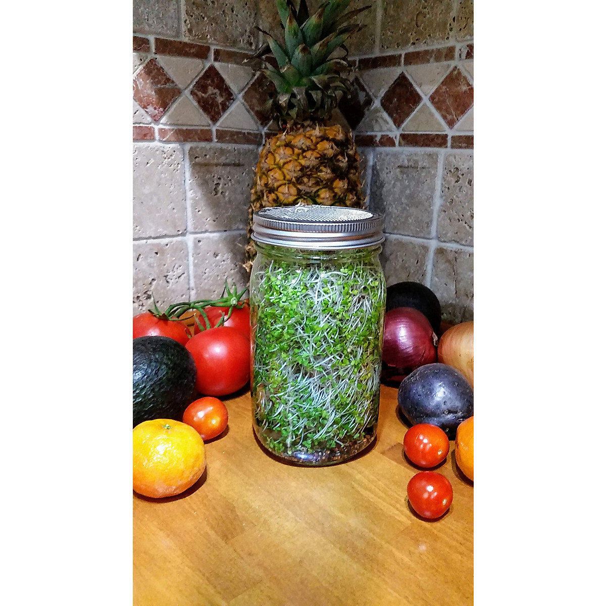 Sprouting Jar with Screen Lid-316 Stainless Steel 100% Rust Free, Wide Mouth Quart Mason Jar Kit Sprouter, Organic Healthy Fresh Broccoli, Alfalfa, Mung Bean Sprouts and more (Seeds not included)
