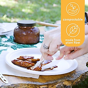 100% Compostable Disposable Paper Plates Bulk [9" 50 Pack], Bamboo Plates, Eco Friendly, Biodegradable, Sturdy Large Dinner Party Plates, Heavy-Duty, Unbleached by Earth's Natural Alternative