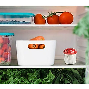 Mushroom Baking Soda Holder For Fridge Deodorizer Ceramic Baking Soda Fridge Holder Odor Absorber Container Smell Remover Cute Fridge Deodorizer Refrigerator Odor Eliminator(No Soda)
