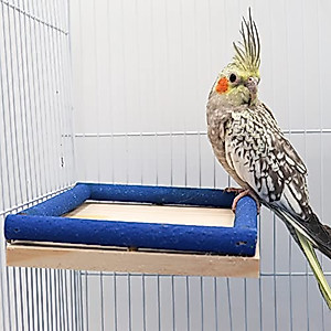 Bird Wooden Perch Stand, Bird Feeder Toy, Natural Wooden Bird Cage Accessories, Paw Grinding Standing Perch with Rough Quartz Sand Surface for Parrot, Parakeet, Budgies, Cockatiel, Rats(Blue)