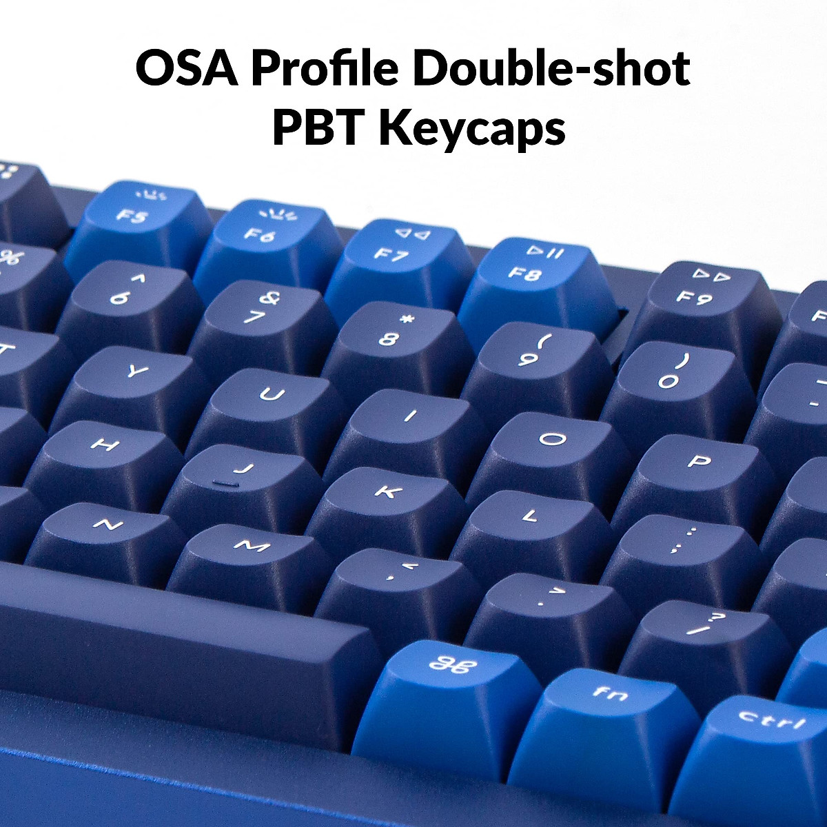Keychron Q1 RGB Wired Custom Mechanical Keyboard, 75% Layout QMK/VIA Programmable Macro with Hot-swappable Gateron G Pro Red Switch Double Gasket Compatible with Mac Windows Linux (Blue) -Version 2