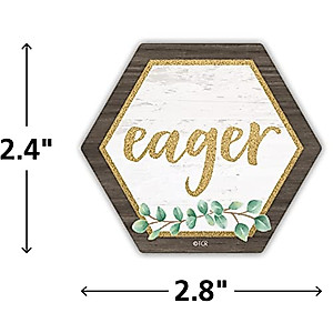 Teacher Created Resources Eucalyptus Positive Words Mini Accents (TCR8476)