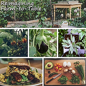 Unique Eggplant Seeds for Planting, Casper White - 1 g 200+ Seeds - Non-GMO, Heirloom Egg Plant Seeds - Home Garden Vegetable White Eggplant Seeds - Sealed in a Beautiful Mylar Package