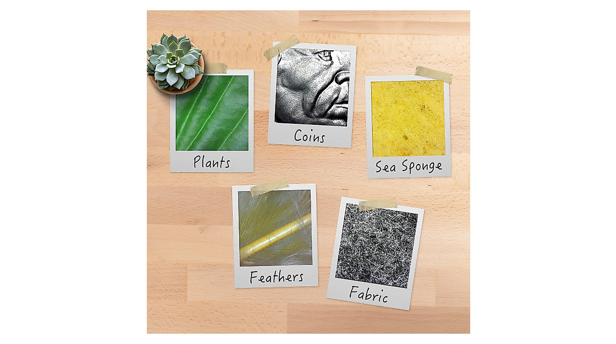 Plugable USB Digital Microscope with 250x Magnification for Detailed ...