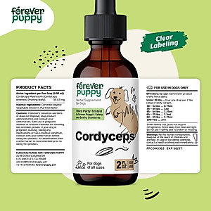 Cordyceps Tincture for Dogs - Mushroom Energy Supplements - Cordyceps Sinensis Liquid Drops for Kidney Detox & Cleanse - Dog Food Supplements for Pet Energy Support & Kidney Wellness - 2 oz