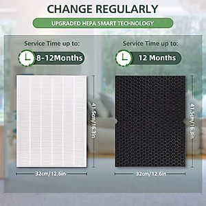 2 Sets 116130 HEPA Replacement Filter H 116130 for Winix 5500-2 Plasmawave Air Purifier and Models AM80 - HEPA Filter and Activated Carbon Filter Combo Pack