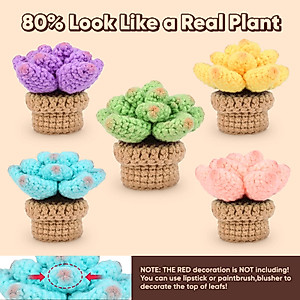 BlumWay Crochet Kit for Beginners, 5 Pcs Succulents Crochet Starter Kit, Beginner Crochet Kit for Adults, Crocheting Beginners Knitting Kit with Step-by-Step Teaching Video