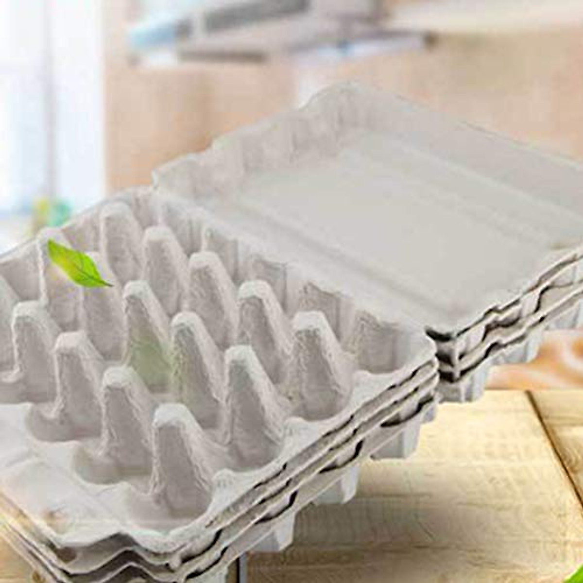 YARDWE Egg Cartons Set| 5 Pcs Cardboard Egg Cartons,- Friendly Recycled Material Biodegradable Reusable Egg Trays with Lids