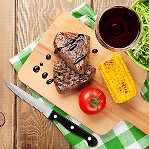 LIANYU Steak Knives Set of 4, Stainless Steel Serrated Steak Knife, kitchen Camping Restaurant Steak Knives, Dishwasher Safe