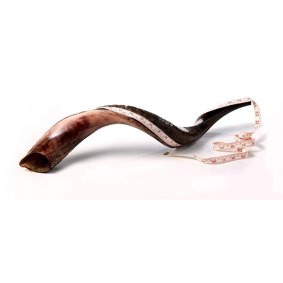 Yaliland Shofar Horn Musical Instrument - Kosher Kudu Ram Horns from Israel - Includes Bag, Book Guide, Anti-Odor Spray, 3 Brushes - Use for Religious Ceremonies - 24"-26", Half Polished-Half Natural