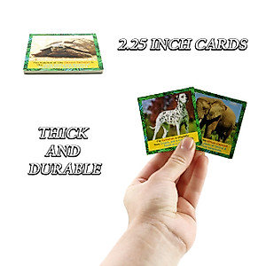 Memory Game - Animal Matching Game for Kids Ages 3 and Up - Animal Card Game Educational Learning Toy - Birthday for Boys and Girls (50 Pcs Matching Cards with 25 Pairs)