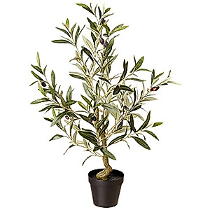 Amazon Brand - Stone & Beam Artificial Olive Tree with Plastic Nursery Pot, 2.2 Feet (26.5 Inches) / Small, Indoor