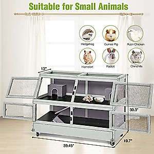 Guinea Pig Cages Anti-Chewing Hamster Cage 2 Story Large Platform Small Animal Cages with Chewing Toy, Food Bowl, Hideout and 2.36”Deeper Plastic Tray