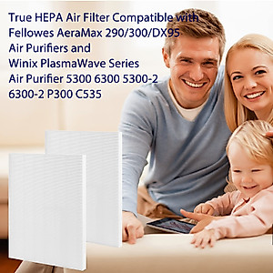 Ganteny 115115 True HEPA Filter Replacement Compatible with Winix 115115 Air Purifier 5300 6300 5300-2 6300-2 P300 C535 Filter A