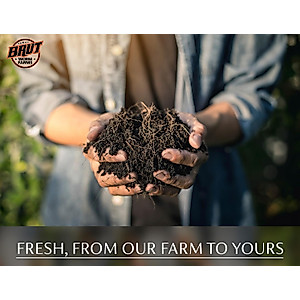 Brut Organic Aspen Mulch – 12 Lbs – High Carbon – Water Retention – Natural Solution for Healthy Houseplants, Flowers, and Vegetables - Use Indoors or Outdoors - Odor Free