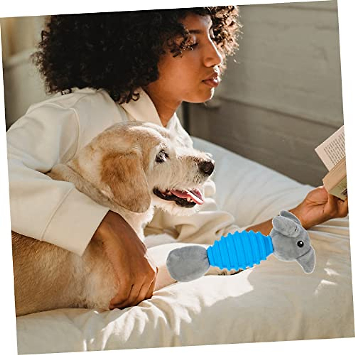 NOLITOY 2pcs Pet Toy Dog Grinding Toys Dog Molar Plaything Animal Dog Chew Toy Dog Dental Toys Dog Sound Toys Teething Toys for Puppies Outside Toys Soft Toy Plush Cartoon Dog Pet Supplies