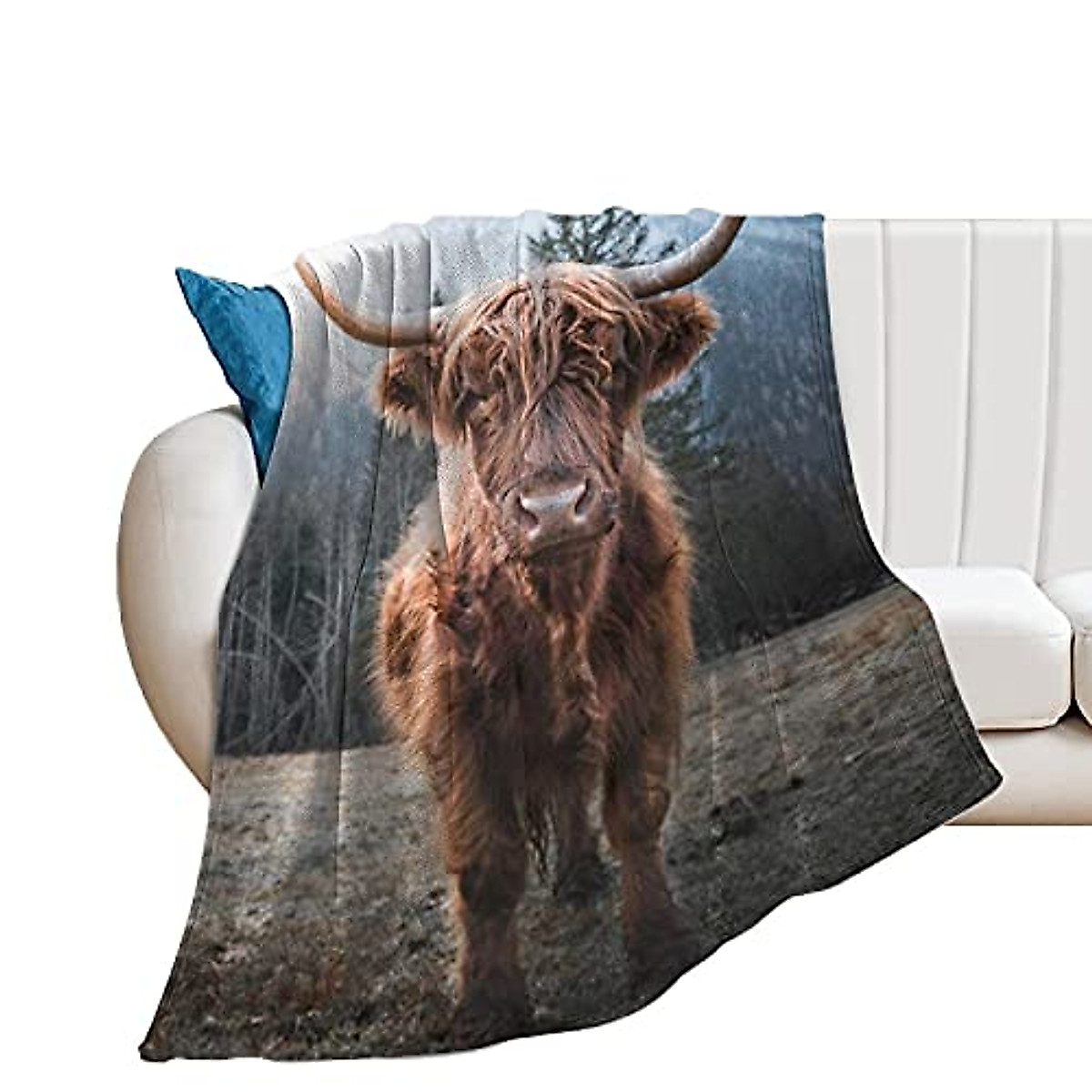 Cow Blanket Cool Highland Horned Baby Cow Cattle Enjoying The Sunrise Flannel Blanket,Ultra Soft Sofa Bed Blanket, Lightweight Travel Throw Blankets Novelty Gift Blanket Unisex,60"X50"