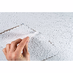 Hyde 09954 Popcorn Ceiling Repair Kit, White