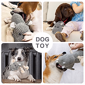 PAZ'S GIFT Dog Toys Cute Hippo Plush Pull Interactive Rope Knot Toy Indoor Squeaky Puppy Toys, Suitable for Soothing Puppies or Small and Medium Dogs Durable Teething chew Toys