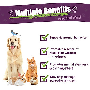 AMBER NATURALZ Pyntril Peaceful Mind Herbal Supplement for Dogs, Cats, Birds, Guinea Pigs, and Rabbits | Herbal Pet Supplement for Relaxation | 1 Fluid Ounce Glass Bottle | Manufactured in The USA