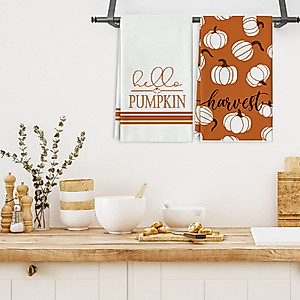 AnyDesign Fall Kitchen Dish Towel 18 x 28 Inch Hello Pumpkin Thanksgiving Harvest Tea Towel Autumn Orange White Dishcloth Rustic Farmhouse Hand Drying Cloth Towel for Kitchen Cooking Baking, 2 Pack
