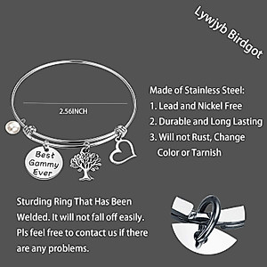 Lywjyb Birdgot Best Gammy Ever Gift Best Gammy Ever Bracelet Gift Best Gammy Ever Funny Mother's Day Gift Best Gammy Ever Christmas Gift (Gammy br)