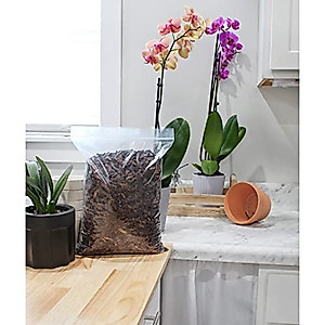 100% Natural Pine Bark Mulch Nuggets (8 Quarts), Small Mulch Chips for Indoor/Outdoor Container Gardening, Ideal for Soil Supplement, Houseplant Mulch