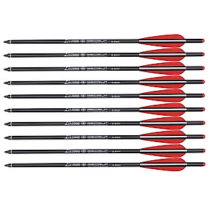 Carbon Crossbow Bolts 20 Inch Hunting Archery Arrows with 4" Vanes Replaced Arrowhead Tip (Pack of 12)