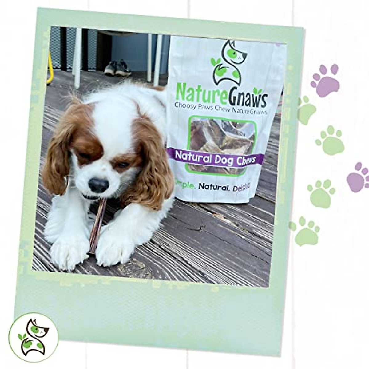 Nature Gnaws Mixed Bully Sticks for Small Dogs - Premium Natural Tasty Beef Bones - Simple Long Lasting Dog Chew Treats - Rawhide Free - 6 Inch