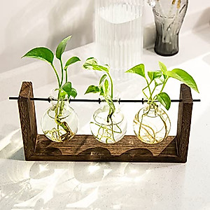 Yangbaga Plant Propagation Stations Terrarium Glass Planter with Wooden Stand 3 Bulb Vases for Hydroponics Indoor Office Desk Home Decor, Plant Holder Gifts