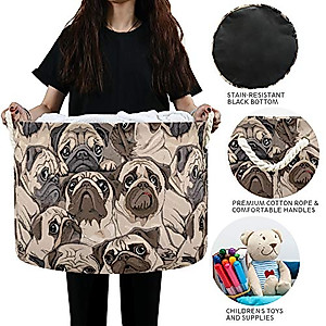 MNSRUU Storage Basket 20"x14" Vintage Cute Pug Dogs Collapsible Organizer Basket with Handles, Fabric Nursery Laundry Basket Large Capacity