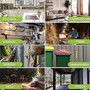 Trappify Hanging Fly Traps Outdoor: Fruit Fly Traps for Indoors | Gnat Trap | Gnat Traps for House Indoor | Fly Trap Indoor - Disposable Sticky Fly Trap for Indoor House Pest Control (4 Pack)